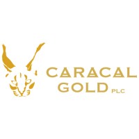 GCAT Insider Trading | Caracal Gold Buys and Sells